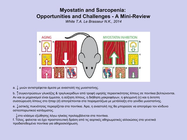 Epidemiology of sarcopenia | PPT