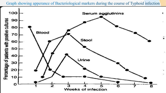 Epidemiology of Typhoid fever.pptx