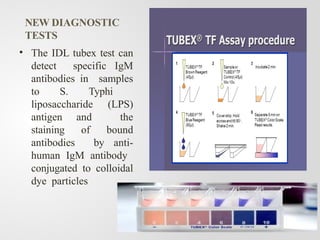 Epidemiology of typhoid fever.pptx............. | PPTX