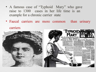 Epidemiology of typhoid fever.pptx............. | PPTX