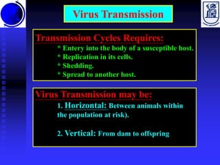 Epidemiology of Viral Diseases2.pdf