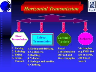 Epidemiology of Viral Diseases2.pdf