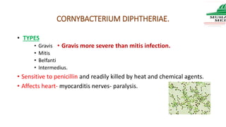 Epidemiology and Control Measures for Diphtheria | PPTX