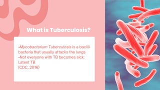 Four Levels of Prevention in Tuberculosis Management | PPTX