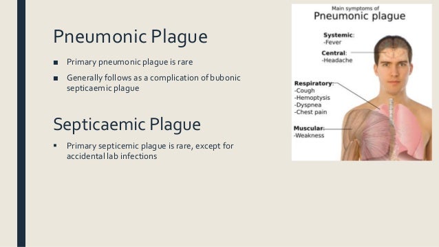 Bubonic And Pneumonic Plague