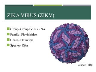 Zika Virus-Epidemology and charecterisitics of zika virus | PPT