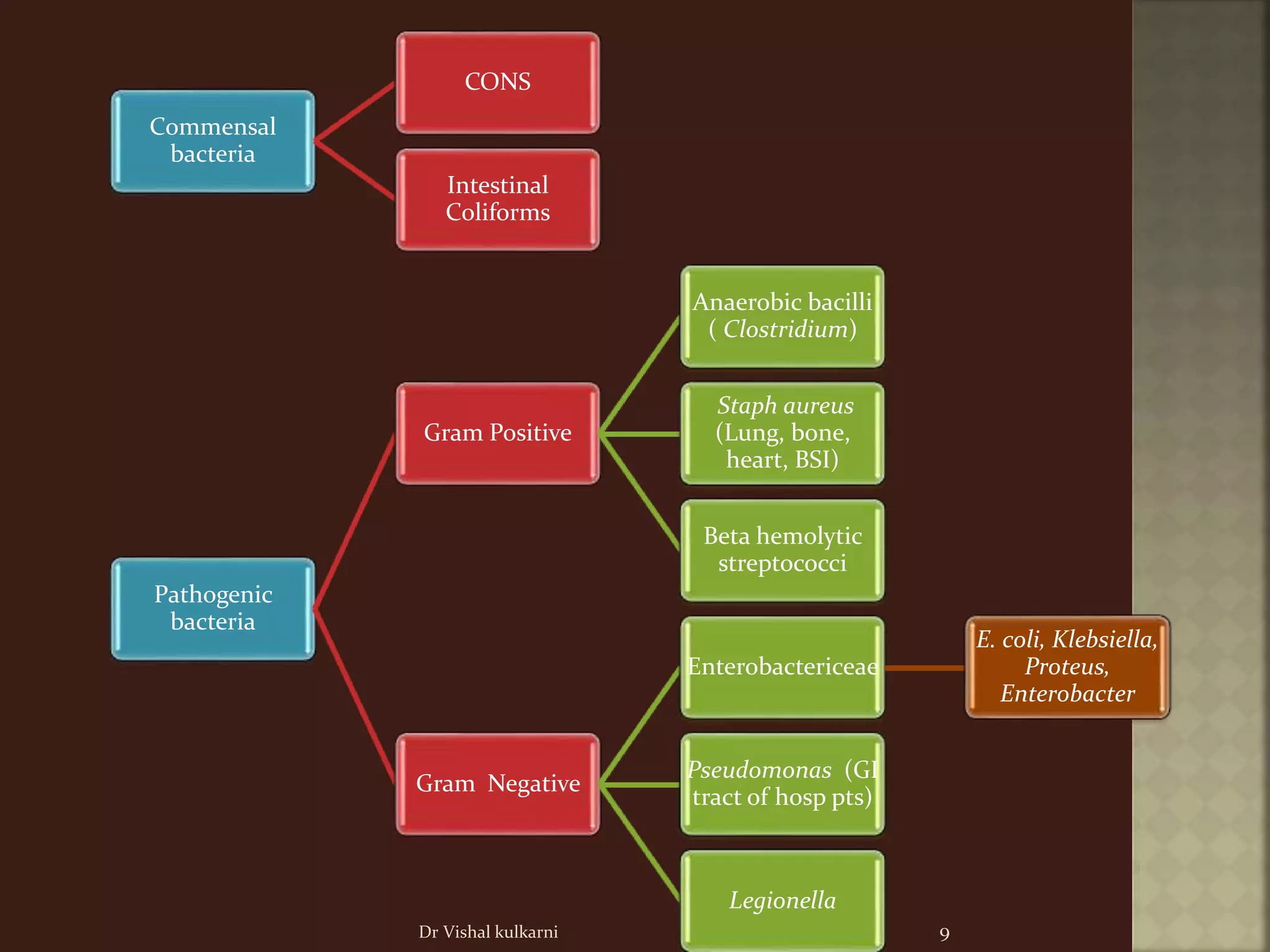 Epidemiological triad of hospital associated infection | PPTX