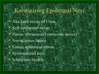 Epidermal Nevi, Neoplasms and Cysts – Part 1 Epidermal Nevi, Neoplasms ...