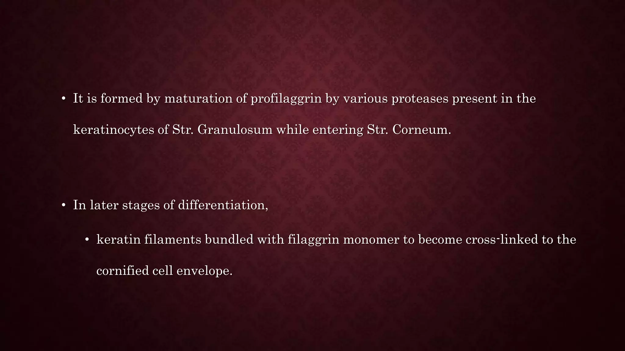 Epidermal differentiation complex | PPTX