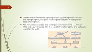 Epidermal growth factor and its receptor tyrosine kinase | PPTX