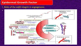 Epidermal growth factor(egf) | PPTX