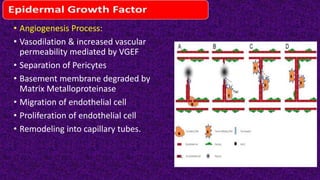 Epidermal growth factor(egf) | PPTX