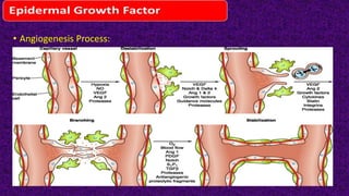 Epidermal growth factor(egf) | PPTX