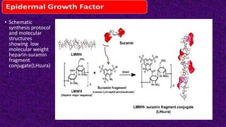 Epidermal growth factor(egf) | PPTX
