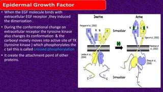 Epidermal growth factor(egf) | PPTX