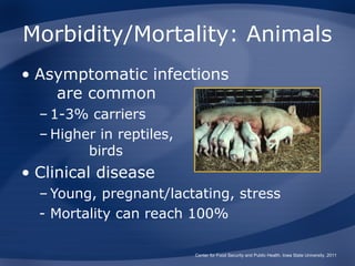 Epidermiology(prevention of salmanellosis) | PPT