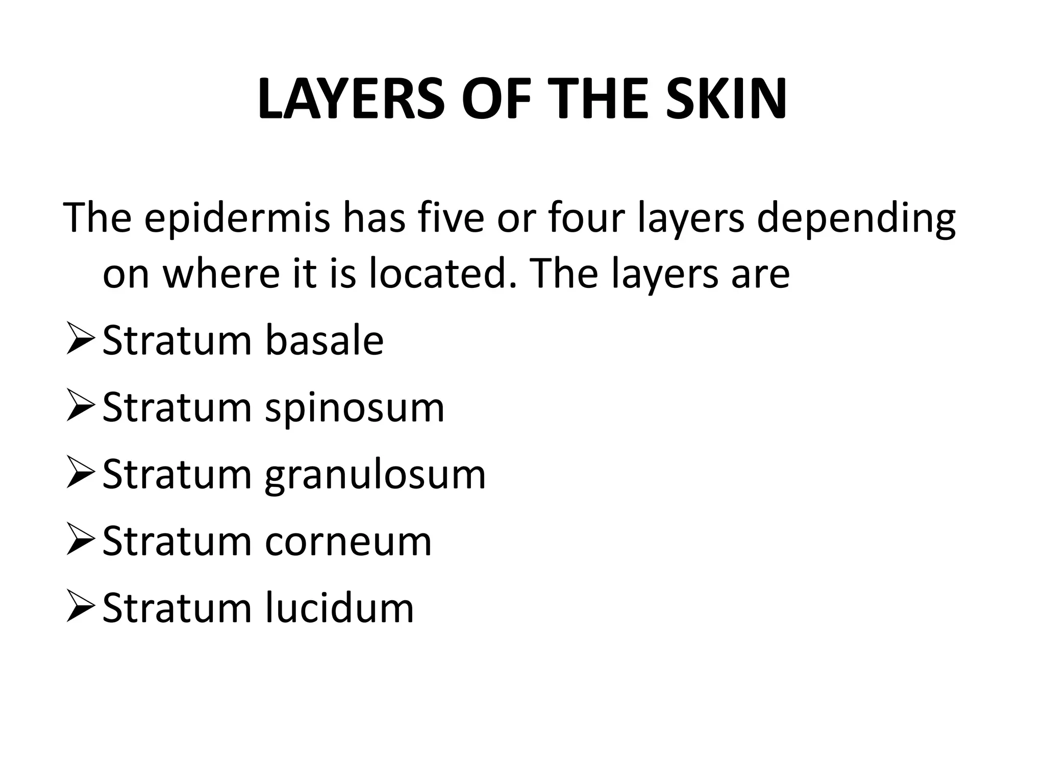 EPIDERMIS(CELLS AND LAYERS).pptx by HFNMTC | PPTX