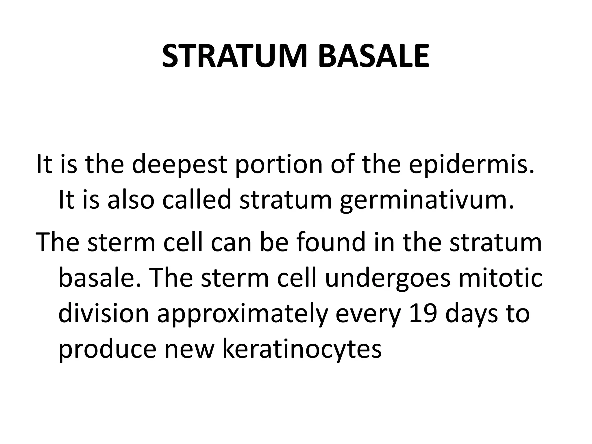 EPIDERMIS(CELLS AND LAYERS).pptx by HFNMTC | PPTX | Skin and ...