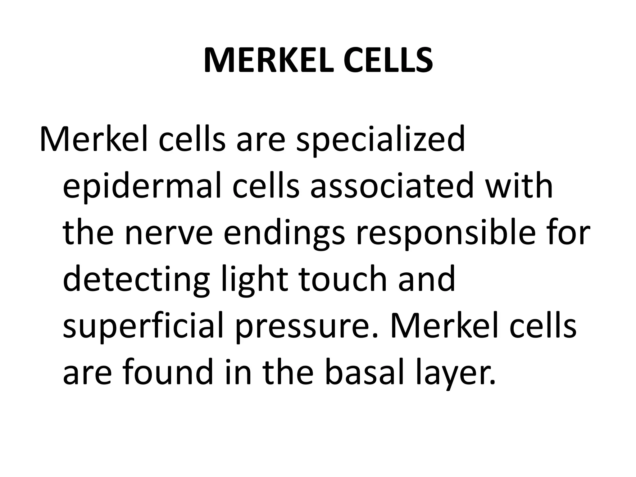 EPIDERMIS(CELLS AND LAYERS).pptx by HFNMTC | PPTX