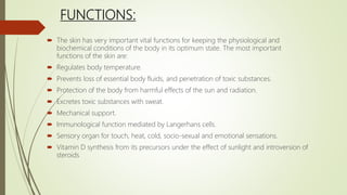 intoduction to skin | PPTX