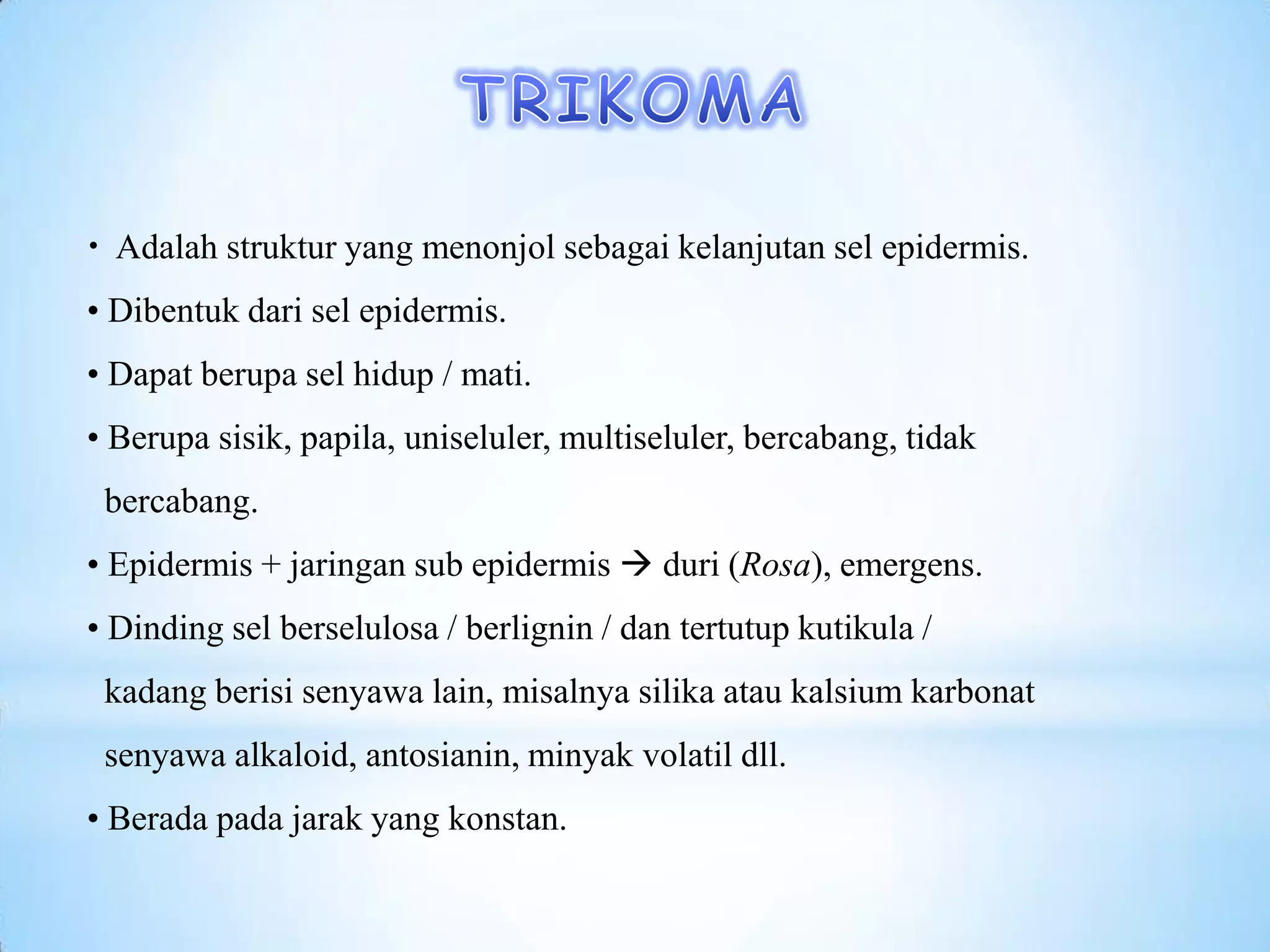 Epidermis | PPTX