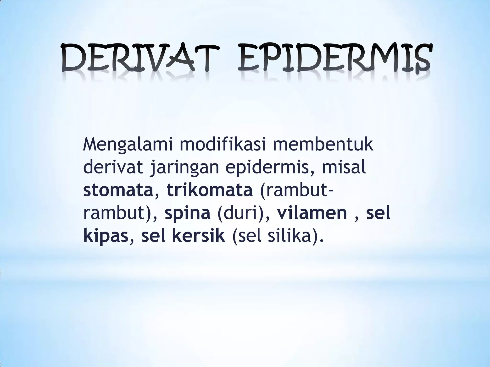 Epidermis | PPTX