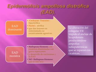 Epidermólisis ampollosa hereditaria | PPTX