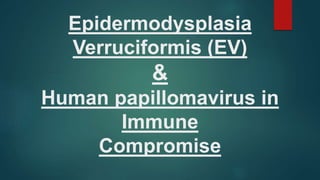 Epidermodysplasia verruciformis and HPV in Immunocompromised | PPT