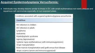 Epidermodysplasia verruciformis and HPV in Immunocompromised | PPTX