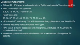 Epidermodysplasia verruciformis and HPV in Immunocompromised | PPT
