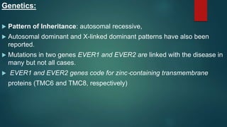 Epidermodysplasia verruciformis and HPV in Immunocompromised | PPTX