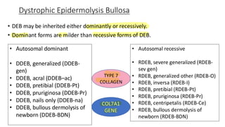 epidermolysis bullosa 2.pdf for derma resident | PDF
