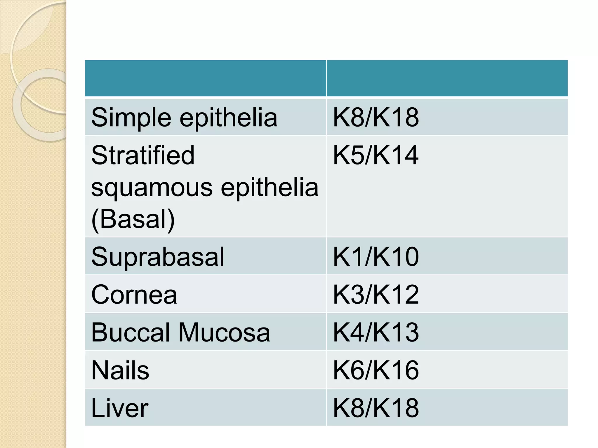 Epidermopoeisis - development of skin | PPTX