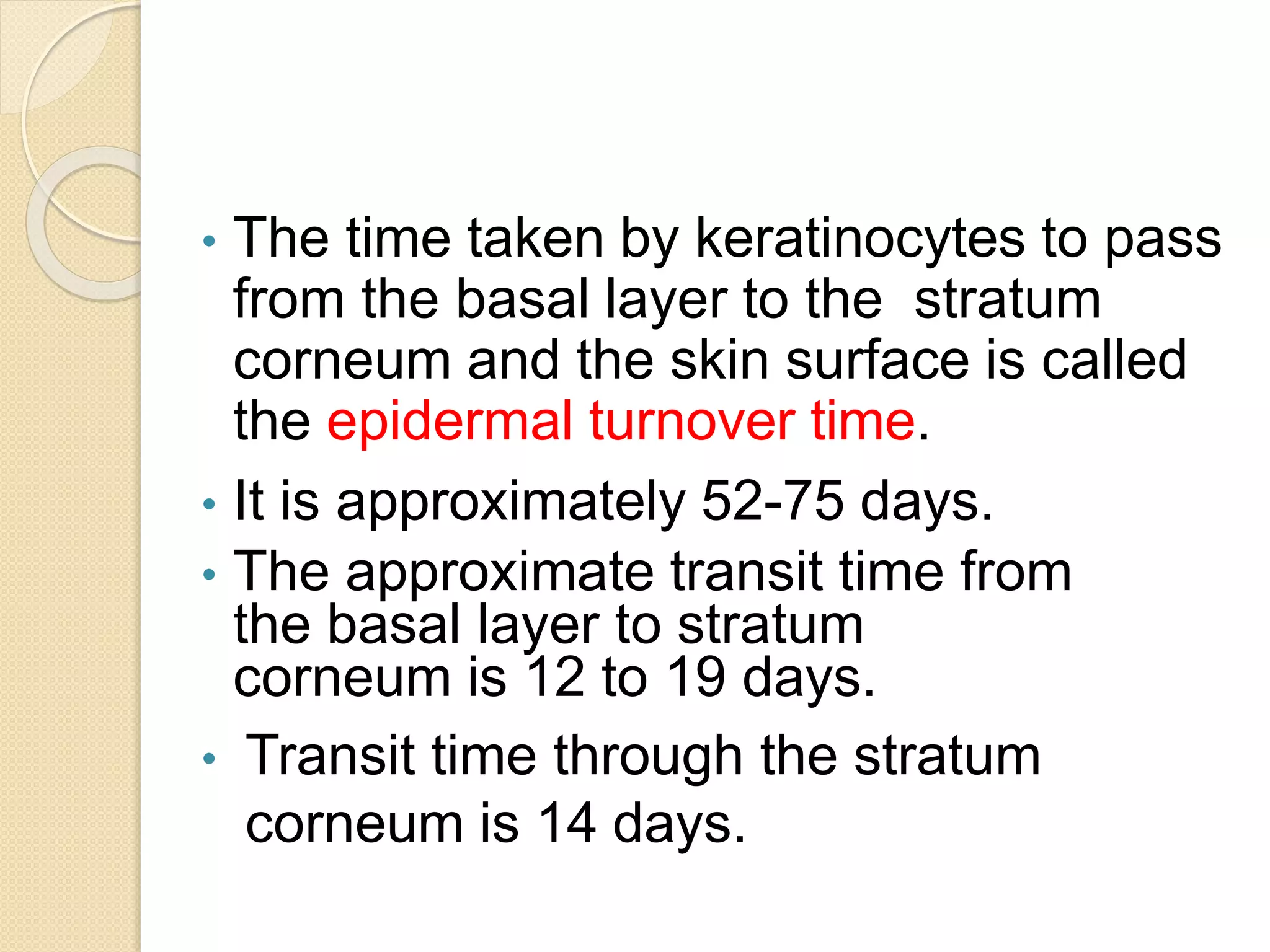 Epidermopoeisis - development of skin | PPTX