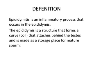 Epididimitis | PPTX