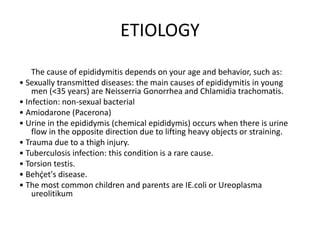 Epididimitis | PPTX