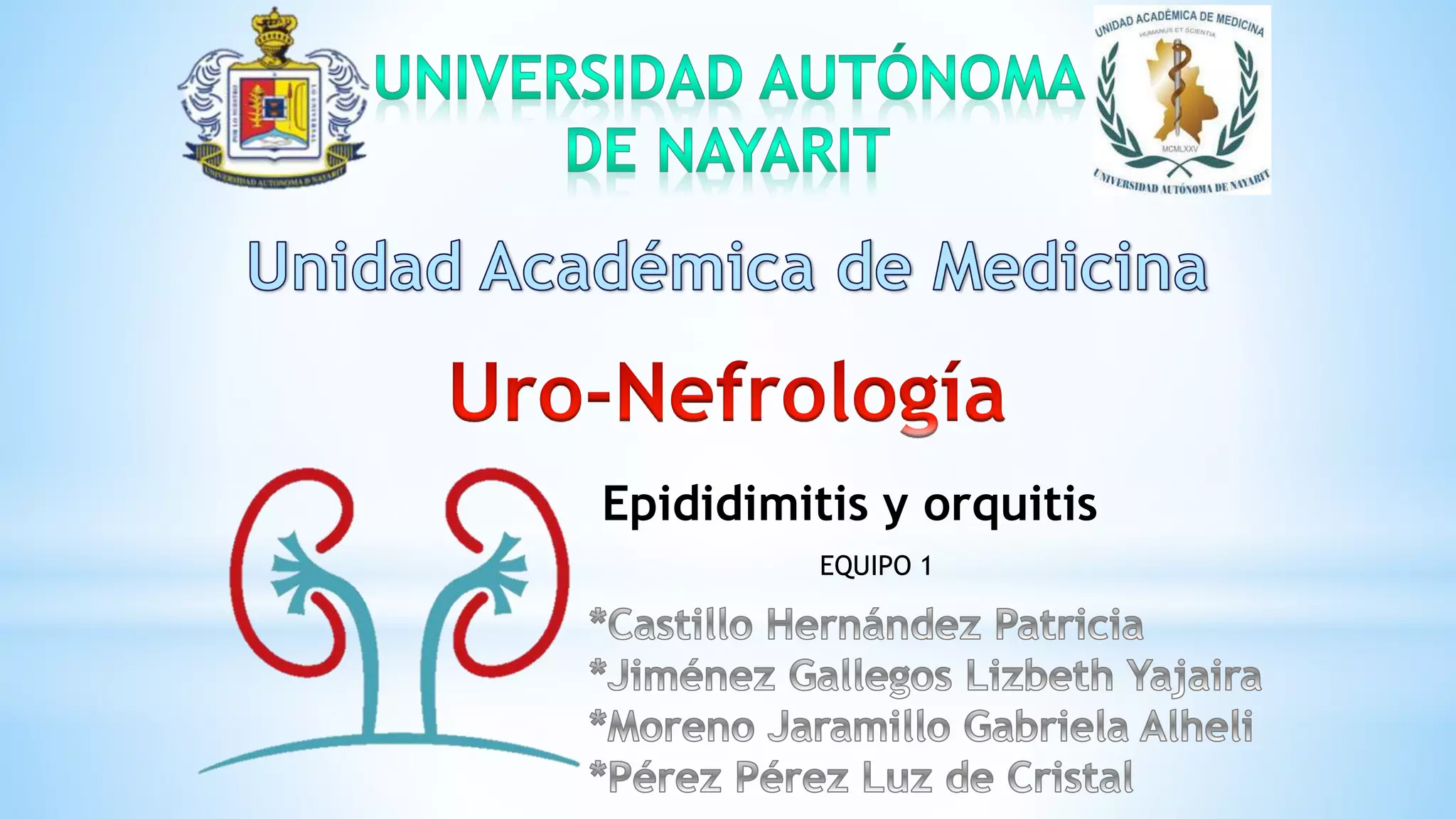 Epididimitis y-orquitis-aguda-y-cronica (1) | PPTX