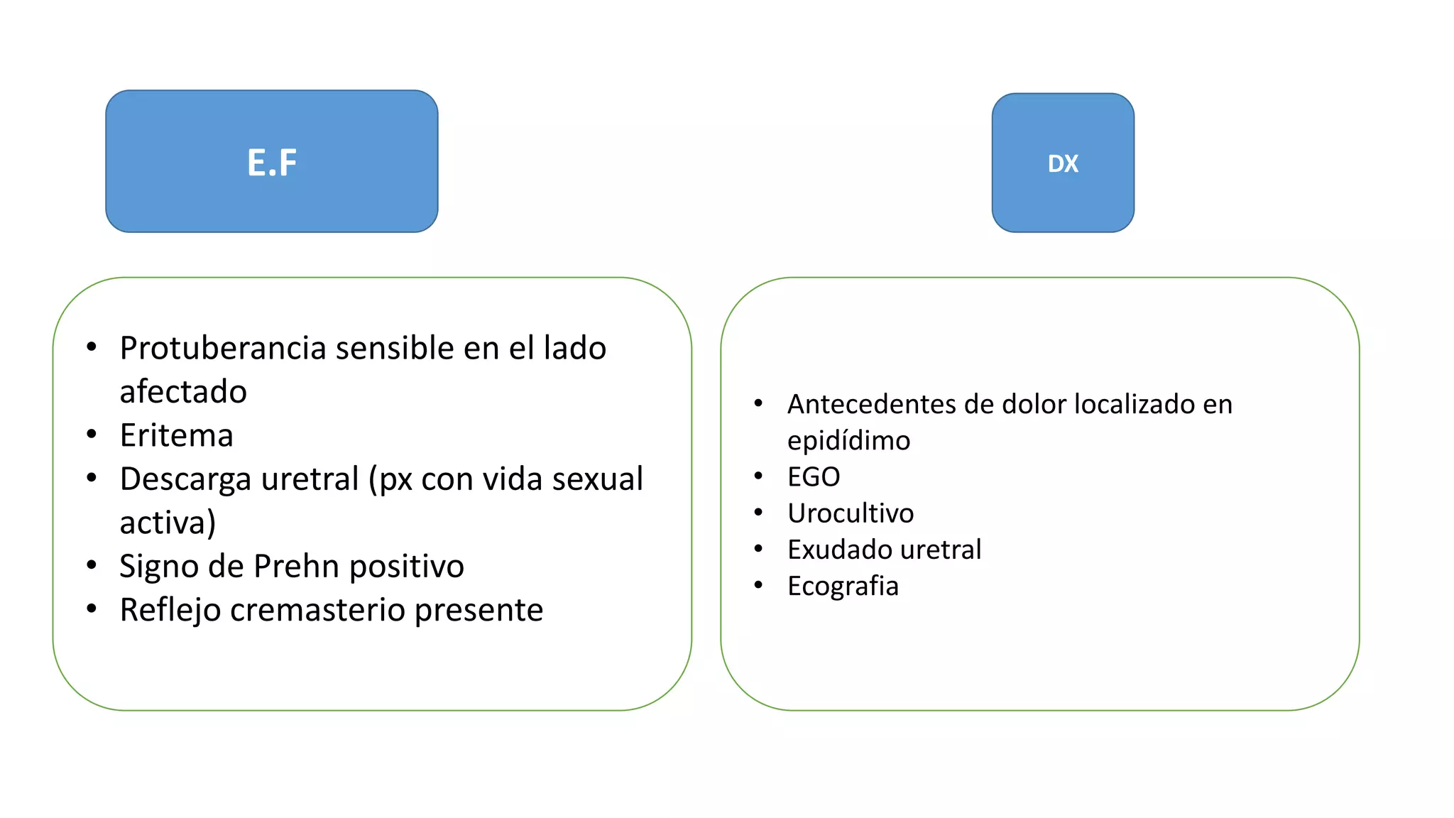 Epididimitis y-orquitis-aguda-y-cronica (1) | PPTX