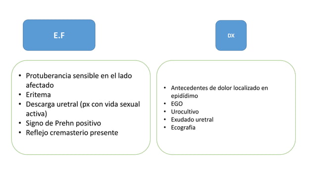 Epididimitis y-orquitis-aguda-y-cronica (1) | PPTX