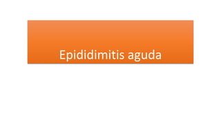 Epididimitis y-orquitis-aguda-y-cronica (1) | PPTX