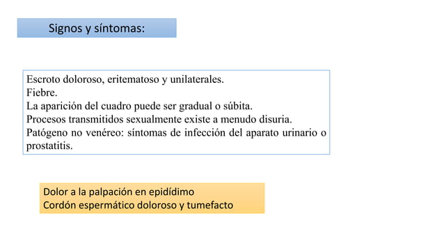 Epididimitis y-orquitis-aguda-y-cronica (1) | PPTX