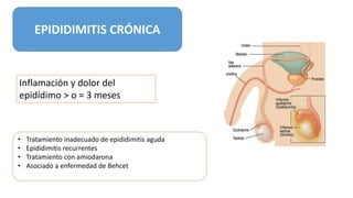 Epididimitis y-orquitis-aguda-y-cronica (1) | PPTX