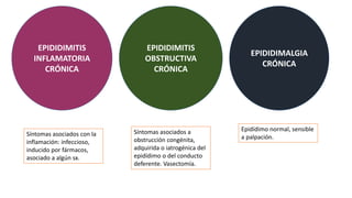 Epididimitis y-orquitis-aguda-y-cronica (1) | PPTX