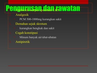EPIDIDIMITIS DAN ORKITIS | PPT