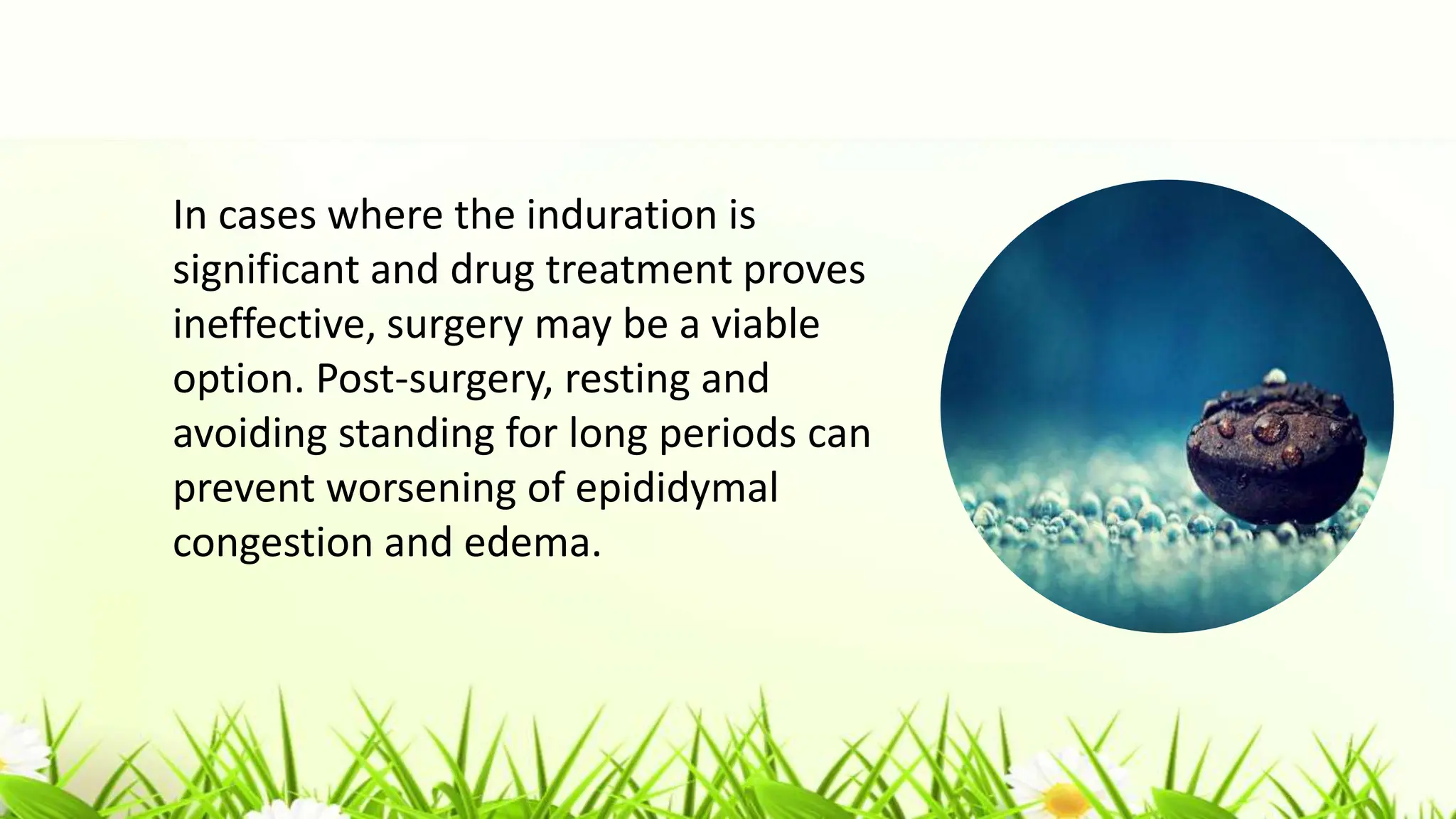 Epididymal Induration- Treatment Options and Diet Therapy.pptx