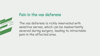 Epididymitis and Sterilization: Hidden Dangers of Male contraceptive.pptx