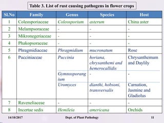 Epidimilogy and manegment of rust fungus | PDF