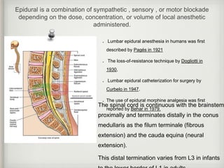 Epidural (1) | PPTX