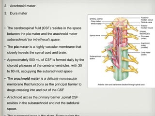 Epidural (1) | PPTX