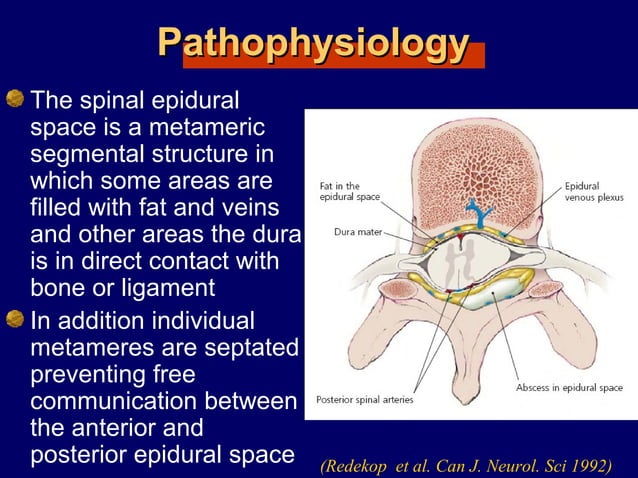 SPINAL EPIDURAL, AND SUBDURAL - INTRAMEDULLAR ABSCESSES | PPT